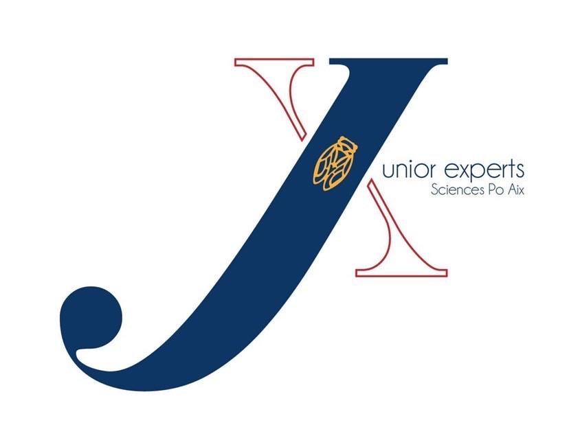 Junior expert - Science Po Aix